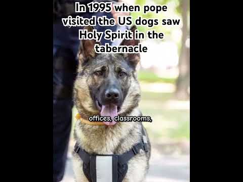 Did you know what’ happened in 1995 when pope visited USA? Make sure you follow for more