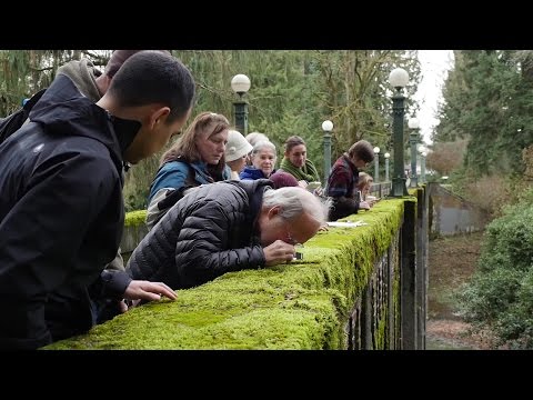 UW Arboretum: Mosses of the Pacific Northwest