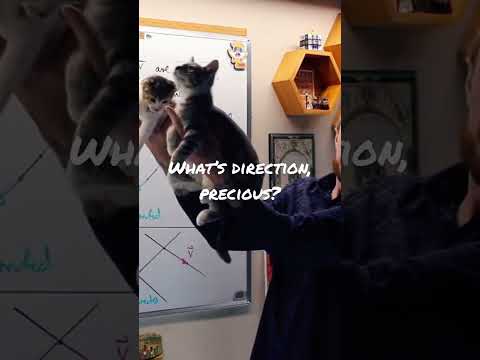 What’s direction?