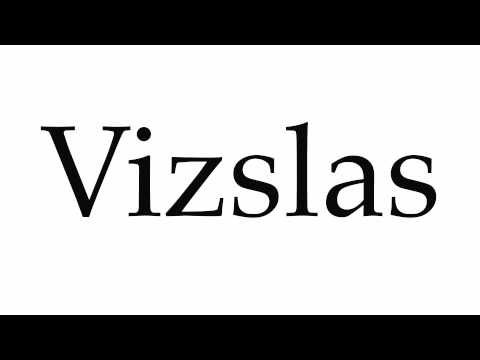 How to Pronounce Vizslas