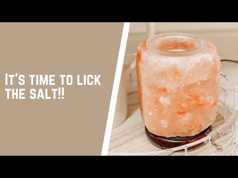 It's Time To Lick The Salt - Scentsy Himalayan Salt Warmer
