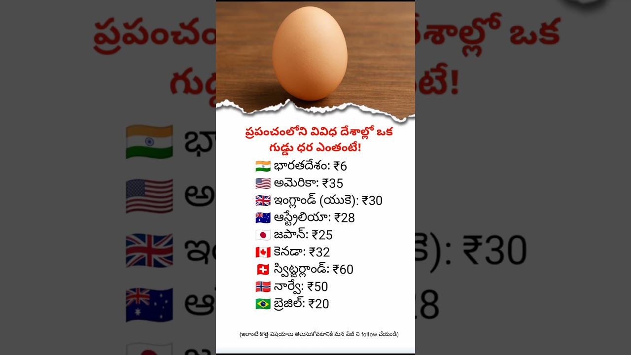 Egg Prices Around the World | Shocking Price Difference | The Shocking Truth About Global Egg Prices