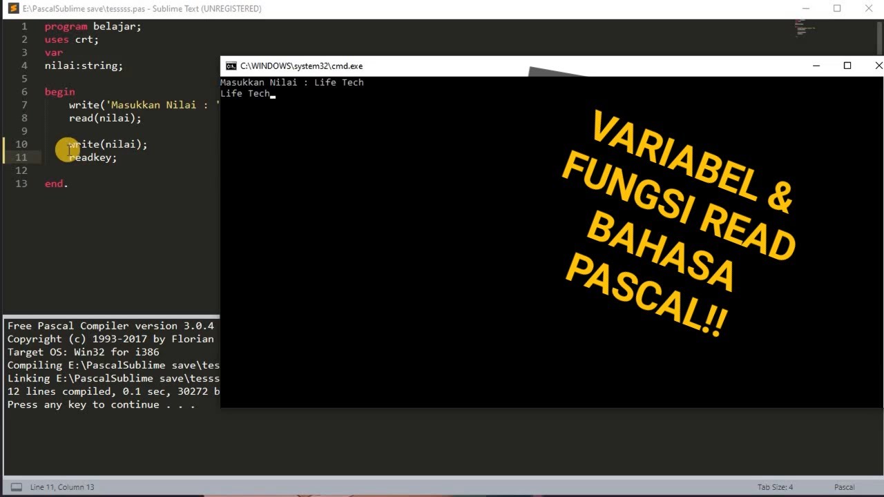 PASCAL LANGUAGE Input Variables and Functions - LEARN 2 PASCAL PROGRAMMING