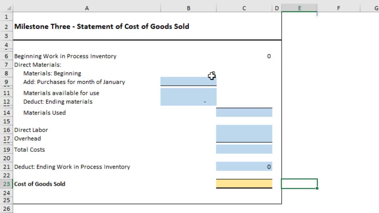 ACC 202 Project: COGS