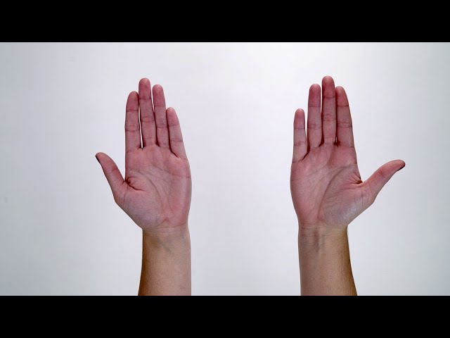 RELIEFBAND Reliefband® Premier Motion Sickness Device