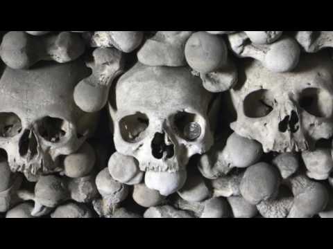 AP Project | Spread of Disease and the Black Death in the 1300s