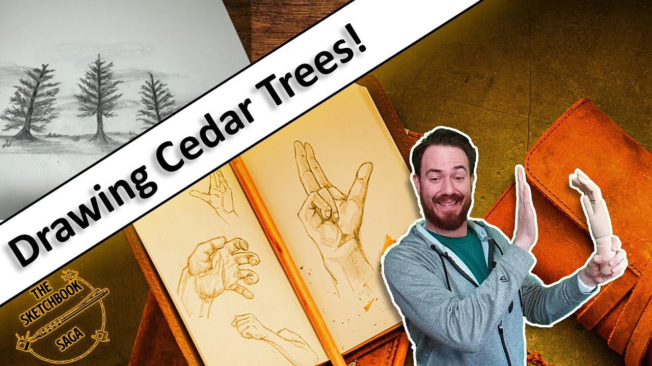 On Pines and Needles - Cedar Tree Drawing