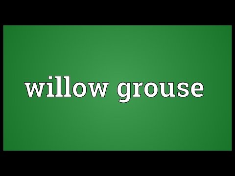 Willow grouse Meaning