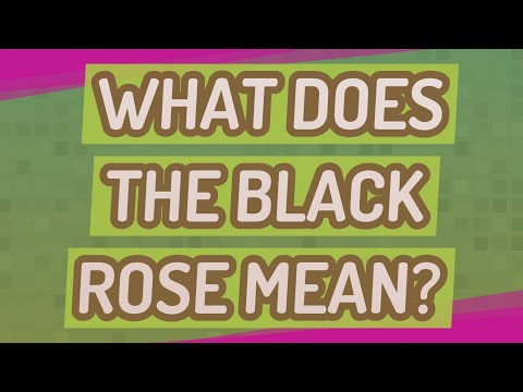 What does the black rose mean?