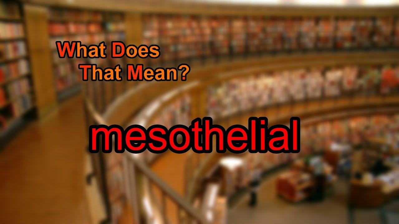 What does mesothelial mean?