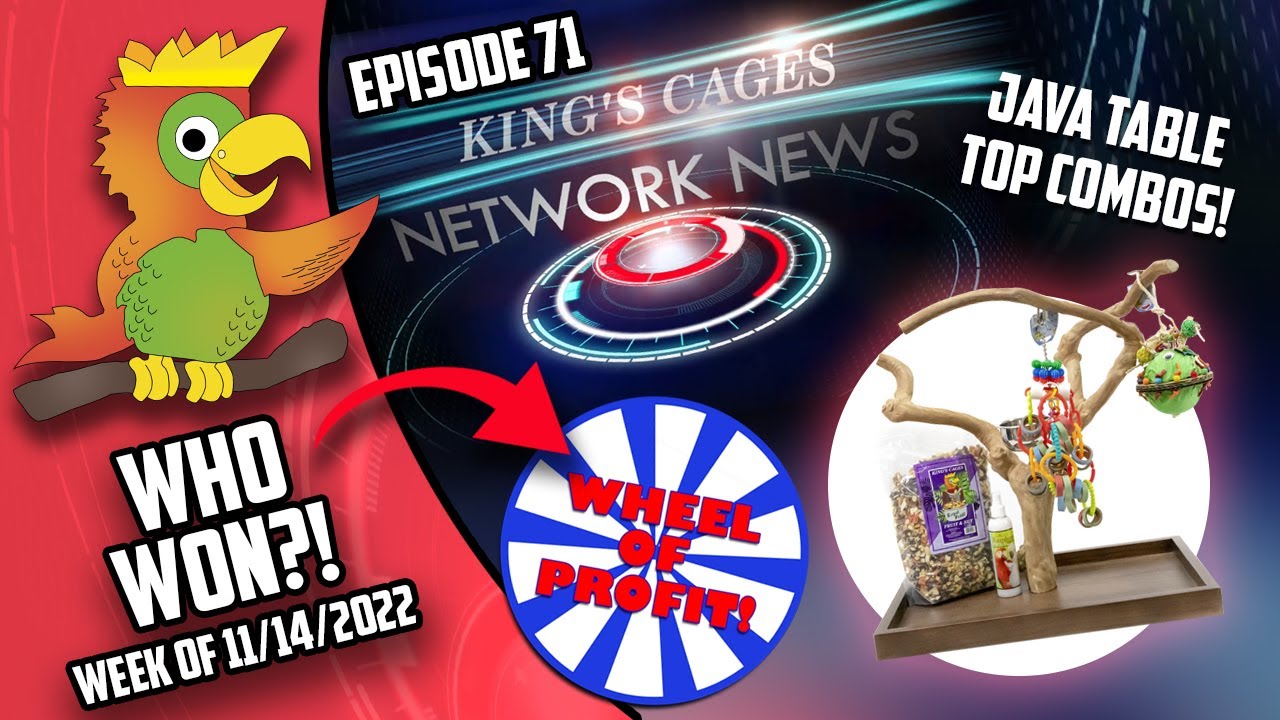 Java Table Top Combos! | King's Cages Network News