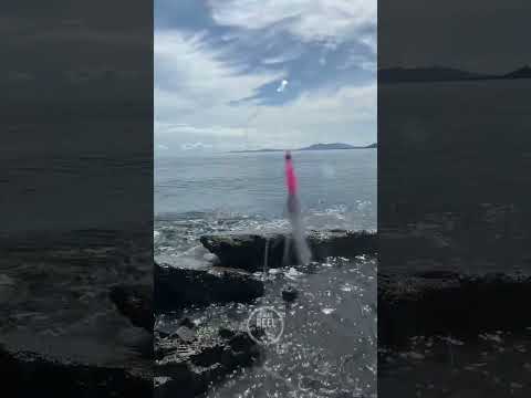 Sabiki Rig | Anti Zero #foryou #fishing #fishingequipment #fishingtechniques #fishingvideo #angler