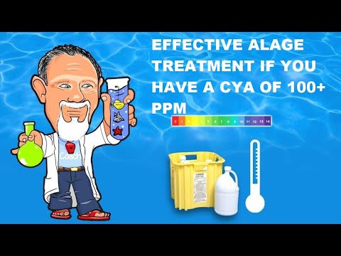 Effective Algae Treatment with CYA of 100+ ppm