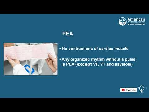 Chapter 11 Pulse-less Electrical Activity (PEA) - ACLS Training by American Health Care Academy