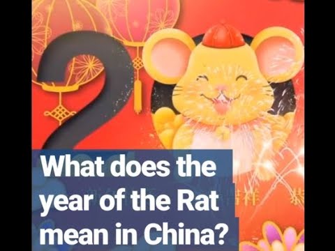 What does the Year of the Rat mean in China? | daxue consulting