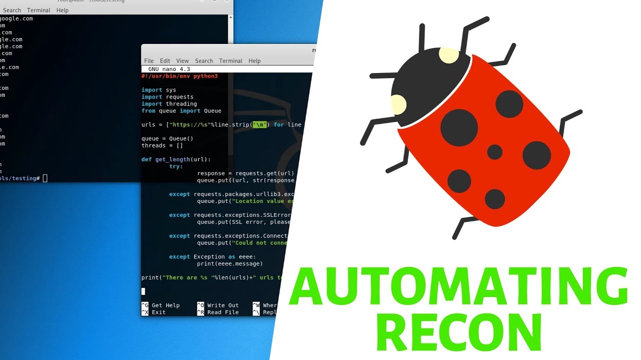 Practical Pentesting - Extending Python Script for Bug Hunting