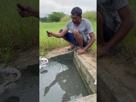 Amazing viral Fish Catchined #Fish hunting #viral #shorts