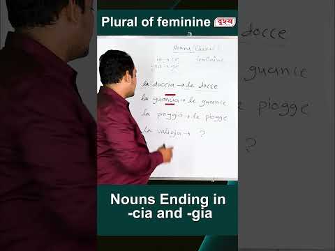 "Plural of Feminine Nouns Ending in -cia and -gia | Italian Grammar #Shorts" #italiangrammar