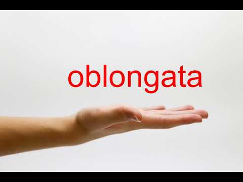 How to Pronounce oblongata - American English
