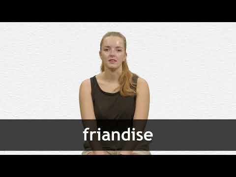 English Translation of “FRIANDISE” | Collins French-English Dictionary