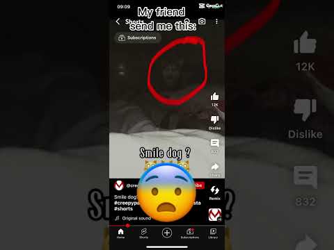 Smile dog ๐ฑ #smiledog ๏ฟผ
