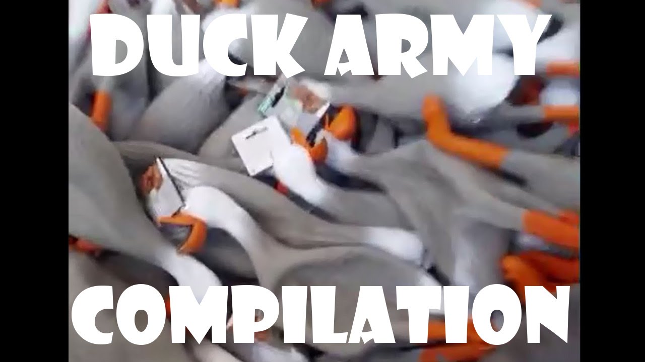 Duck Army Remix Compilation