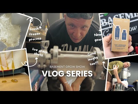 How We LST + Outdoor Garden Begins & Live Rosin Press from Fresh Frozen!