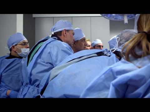 Vista: Embolic Therapies Workshop