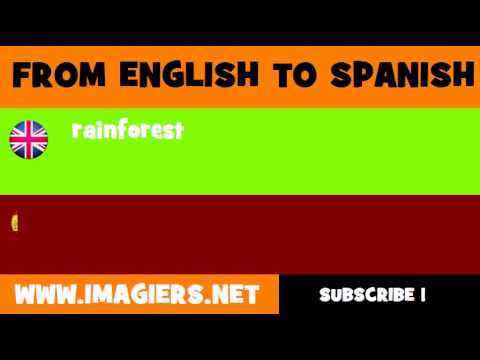 FROM ENGLISH TO SPANISH = rainforest