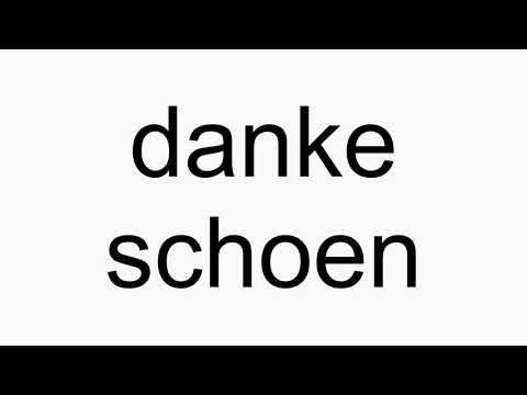 How to pronounce danke schoen