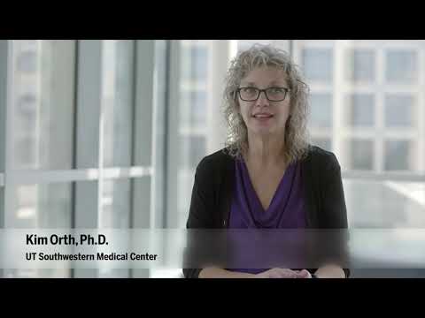 2019 O'Donnell Award in Science: Julie Pfeiffer, UT Southwestern