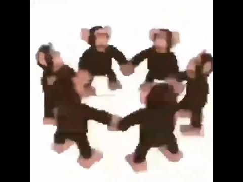 Happy monkey circle 10 HOURS