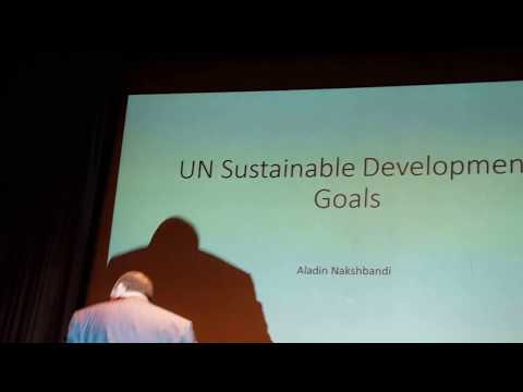 What are UN 17 Sustainable Development Goals (SDGs)