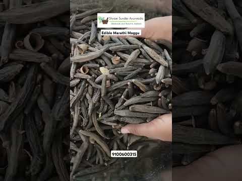 Marathi Moggu - Kapok Buds Latest Price, Manufacturers & Suppliers