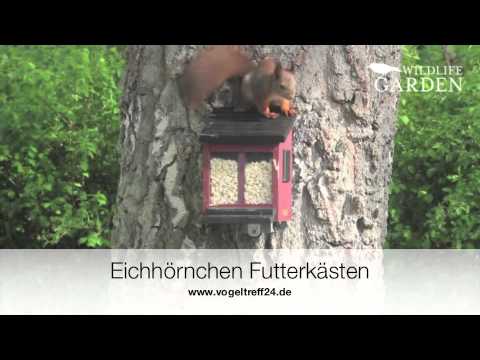 Eichhörnchen Futterbox Nuss-Bar Futterplatz Futterkasten
