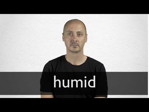 HUMID 释义 | 柯林斯英语词典