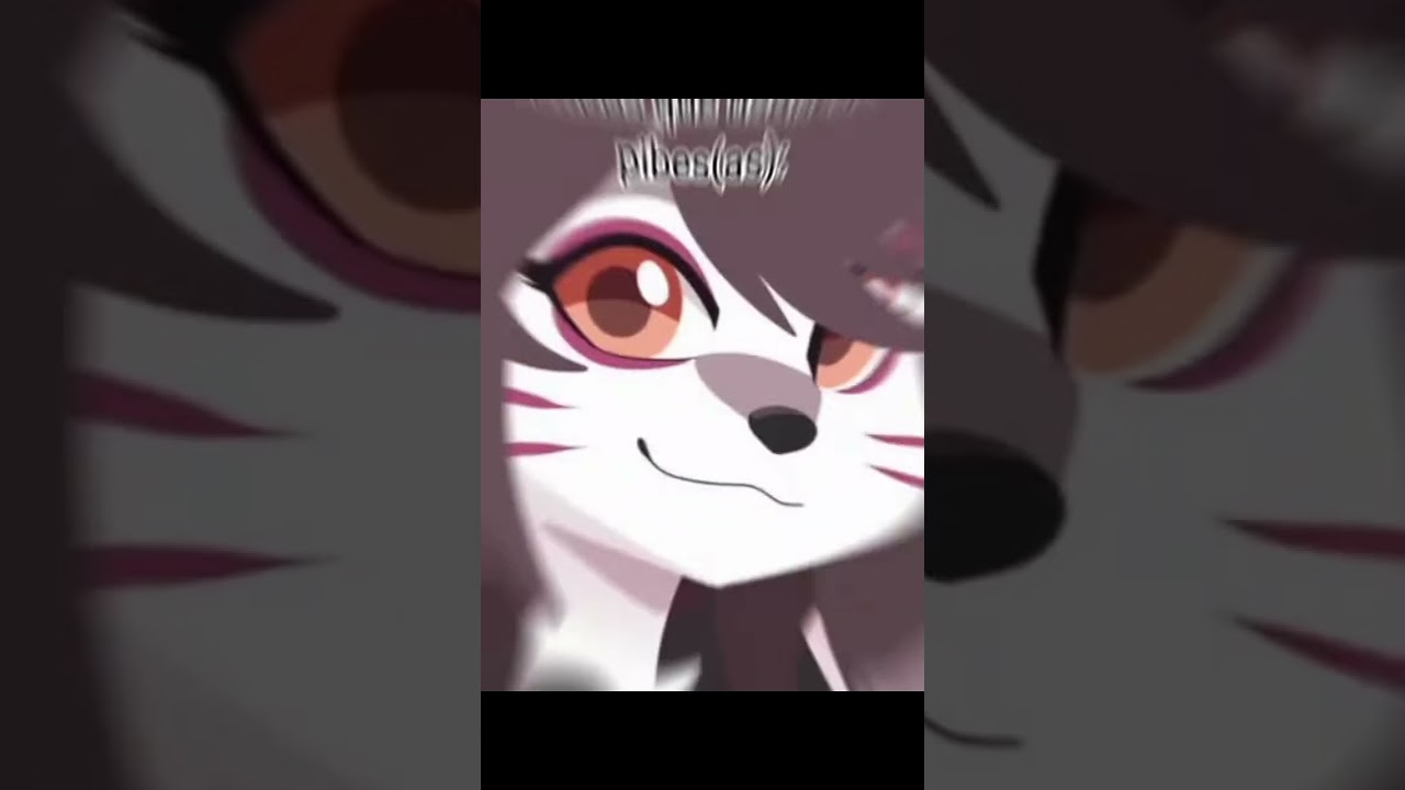 fotos de perfil de las pibas vs los pibes