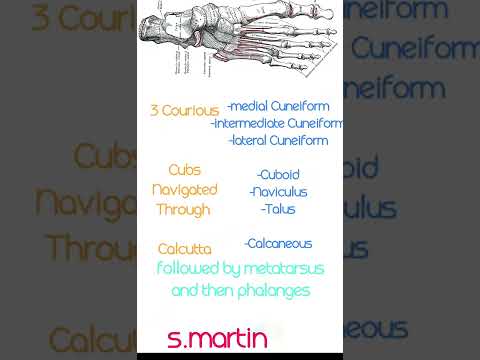 mnemonic bones of foot