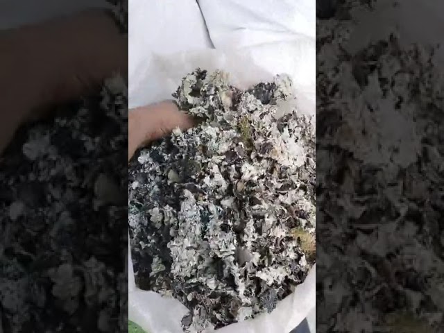 Black Stone Flower - Dagadful Manufacturer from Pune