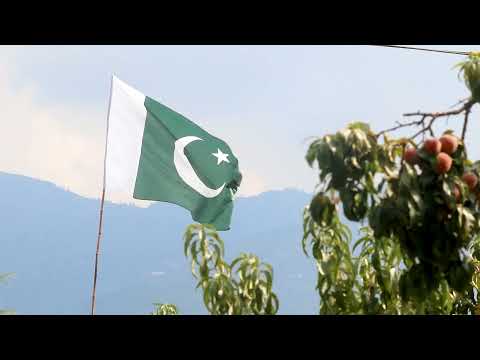 Flag Urdu Meaning