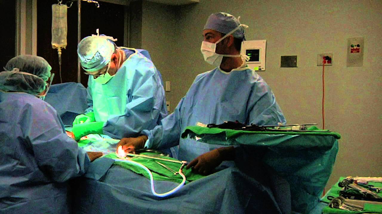 A License to Heal by Steven Bentley, M.D.