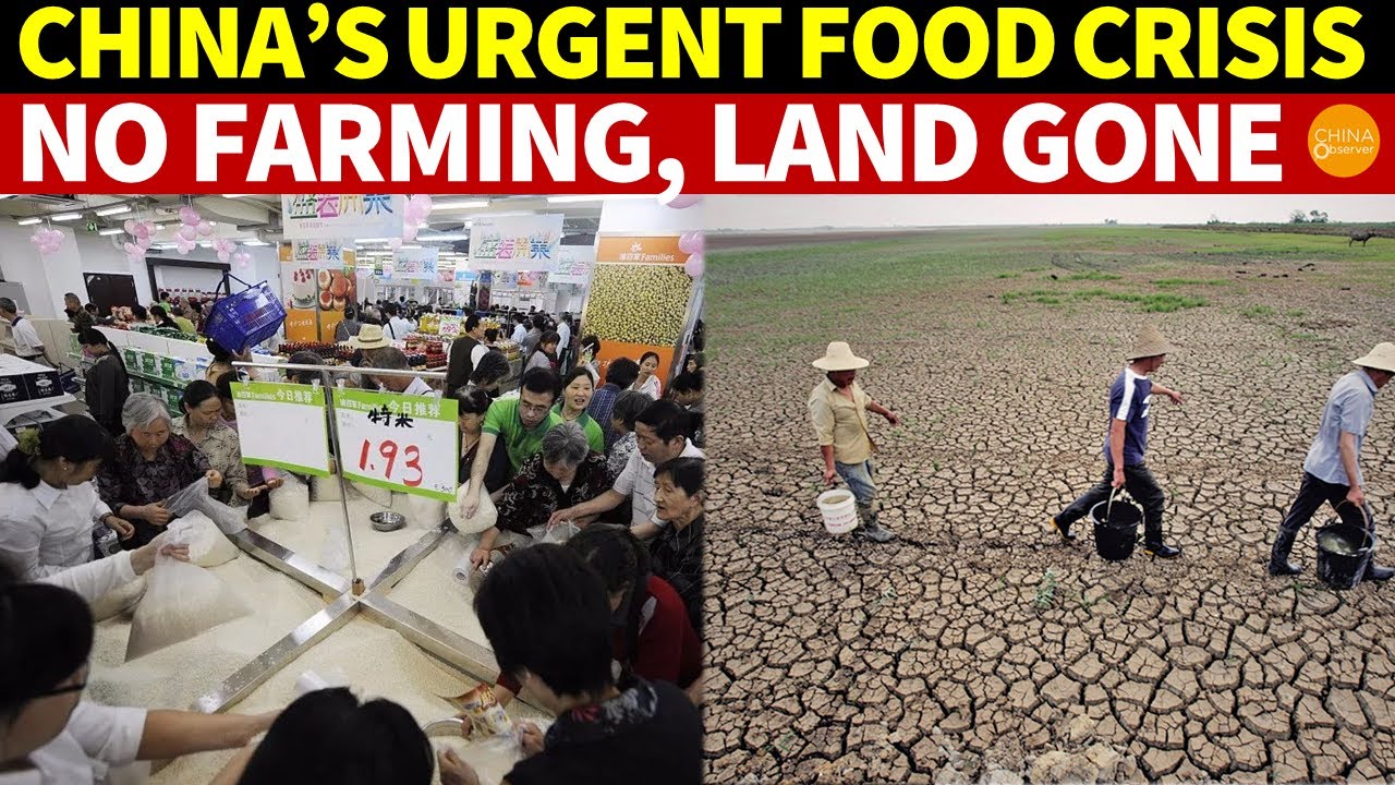 China’s Urgent Food Crisis: No One Farms, Farmland Gone, Frequent ...