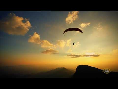 Flying with Vultures