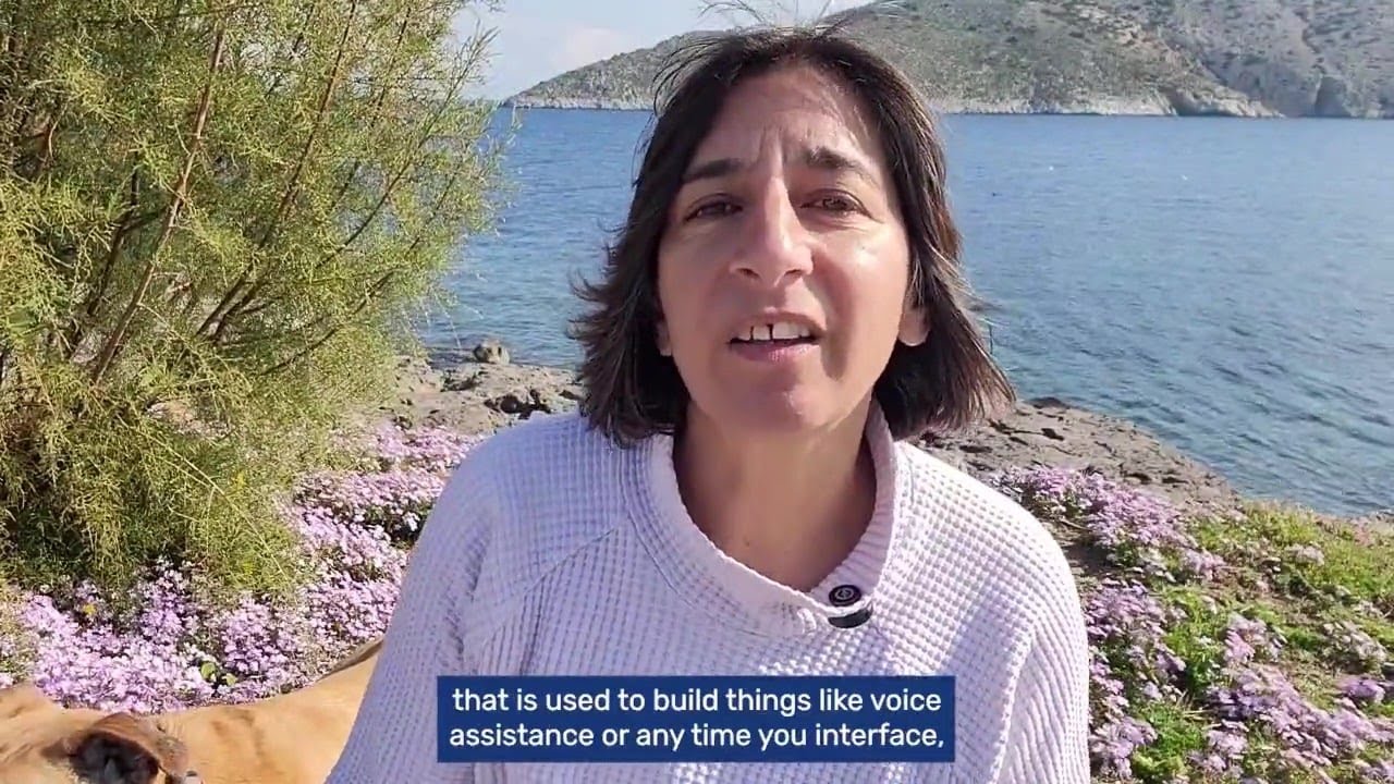 State of speech data for low-resource languages: What's interesting in low-resource language tech?