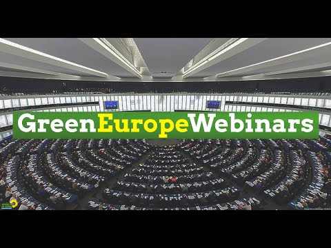 Legal options for a (China targeted) anti-subsidies control mechanism (GreenEuropeanWebinars 58)