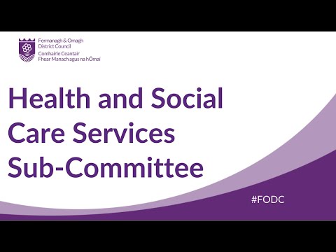 Health and Social Care Services Sub-Committee (19/06/2025)