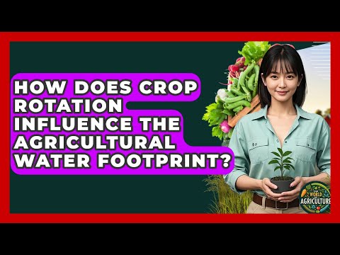 How Does Crop Rotation Influence The Agricultural Water Footprint? - The World of Agriculture