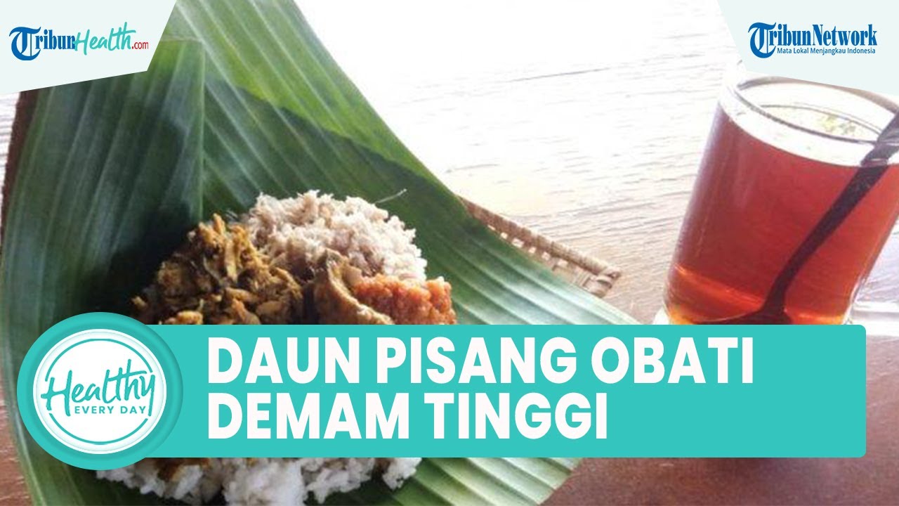 Unik Daun Pisang Tenyata Dapat Obati Demam Tinggi Inilah Sederet