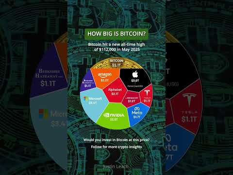 How BIG is Bitcoin?