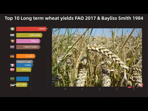 Top 10 Long-term wheat yields - FAO (2017) & Bayliss-Smith (1984)|DataRankings